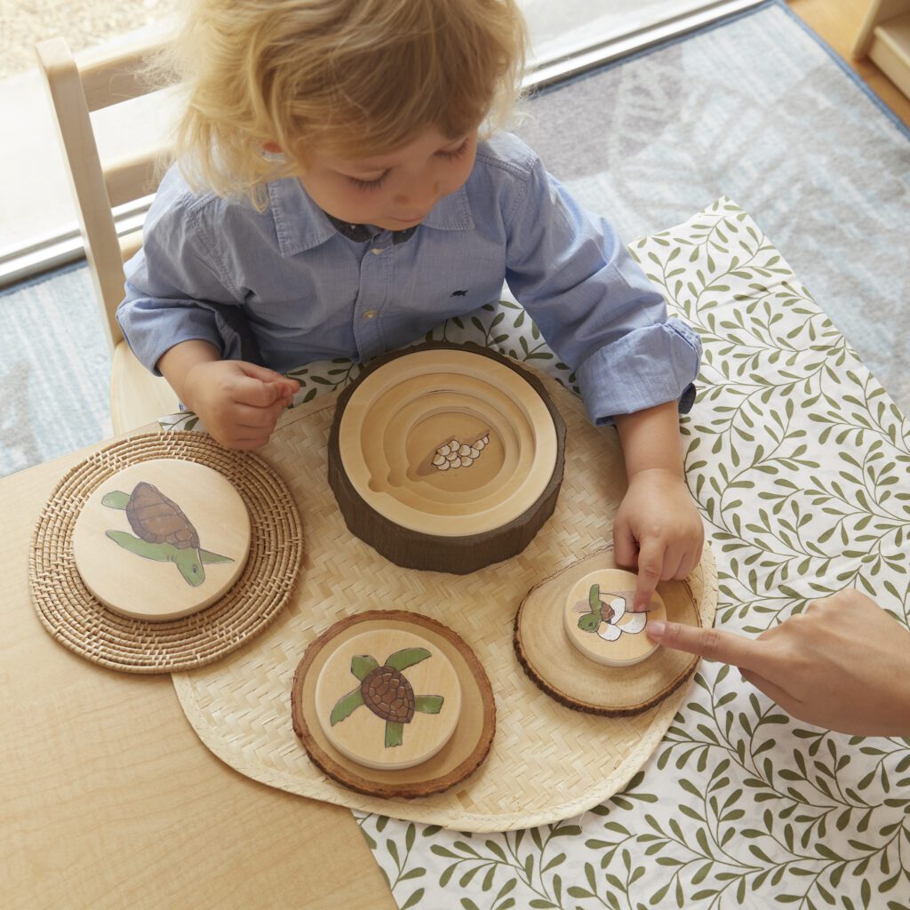 Guidecraft Levenscyclus Puzzels - Set van 3 - Baaslevert.